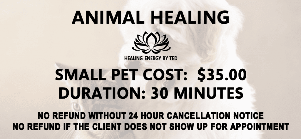 Animal Healing